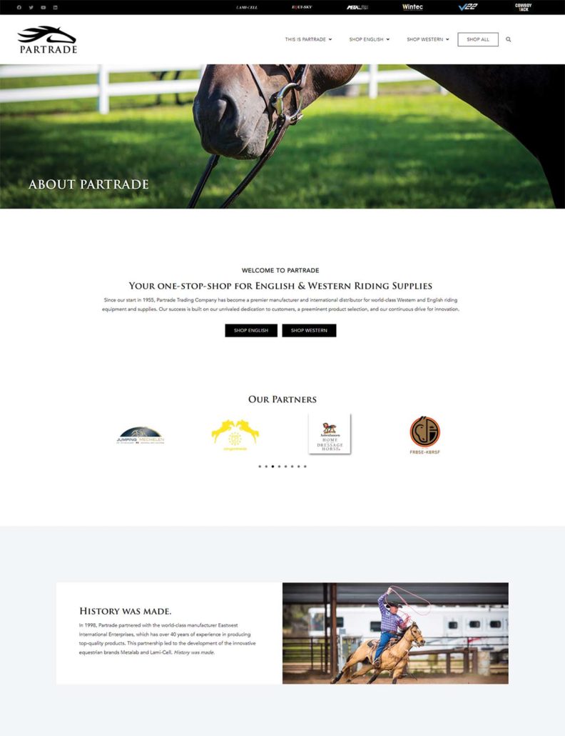 Partrade Trading Company - CurlyHost